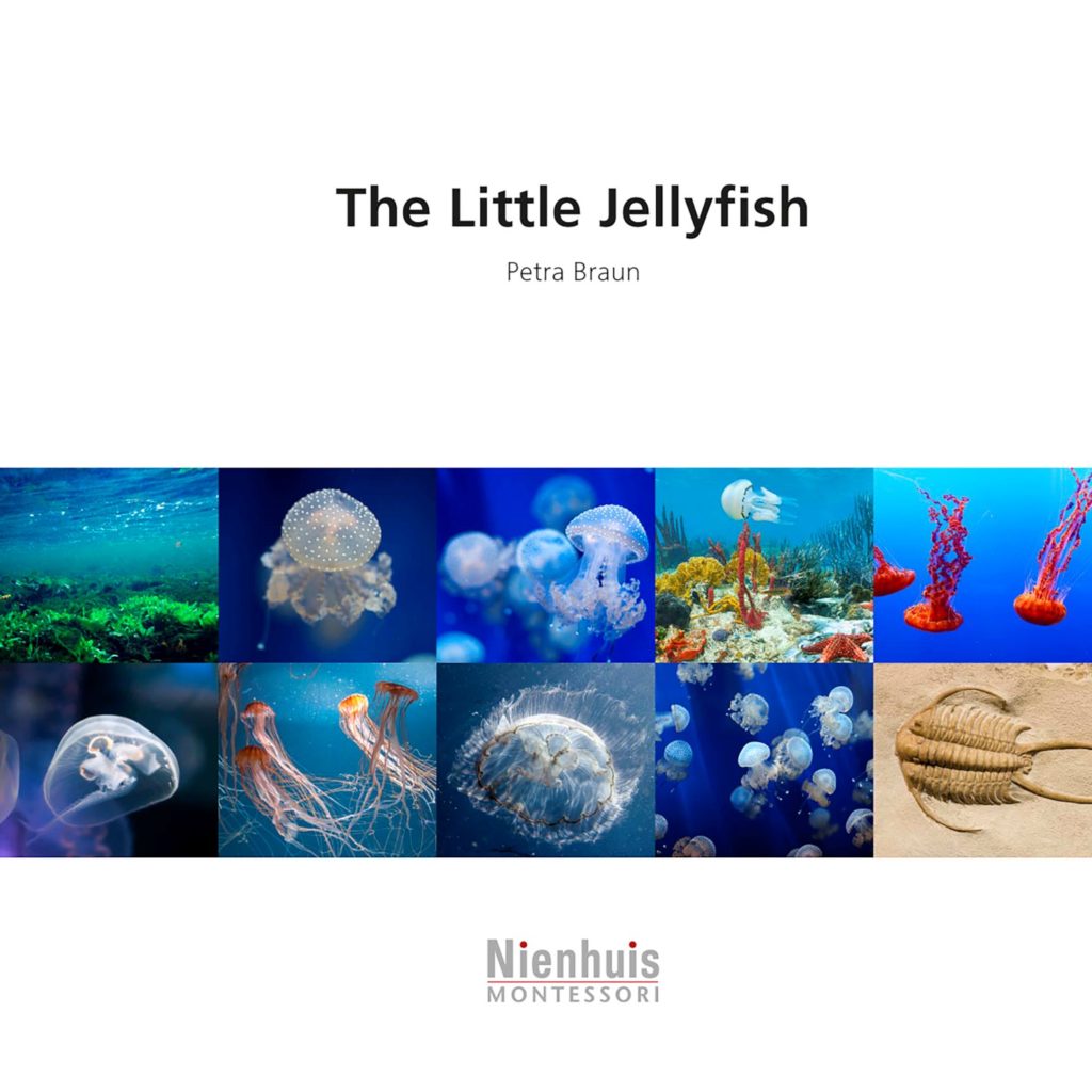 The Little Jellyfish | Nettbutikk Montessori Norge